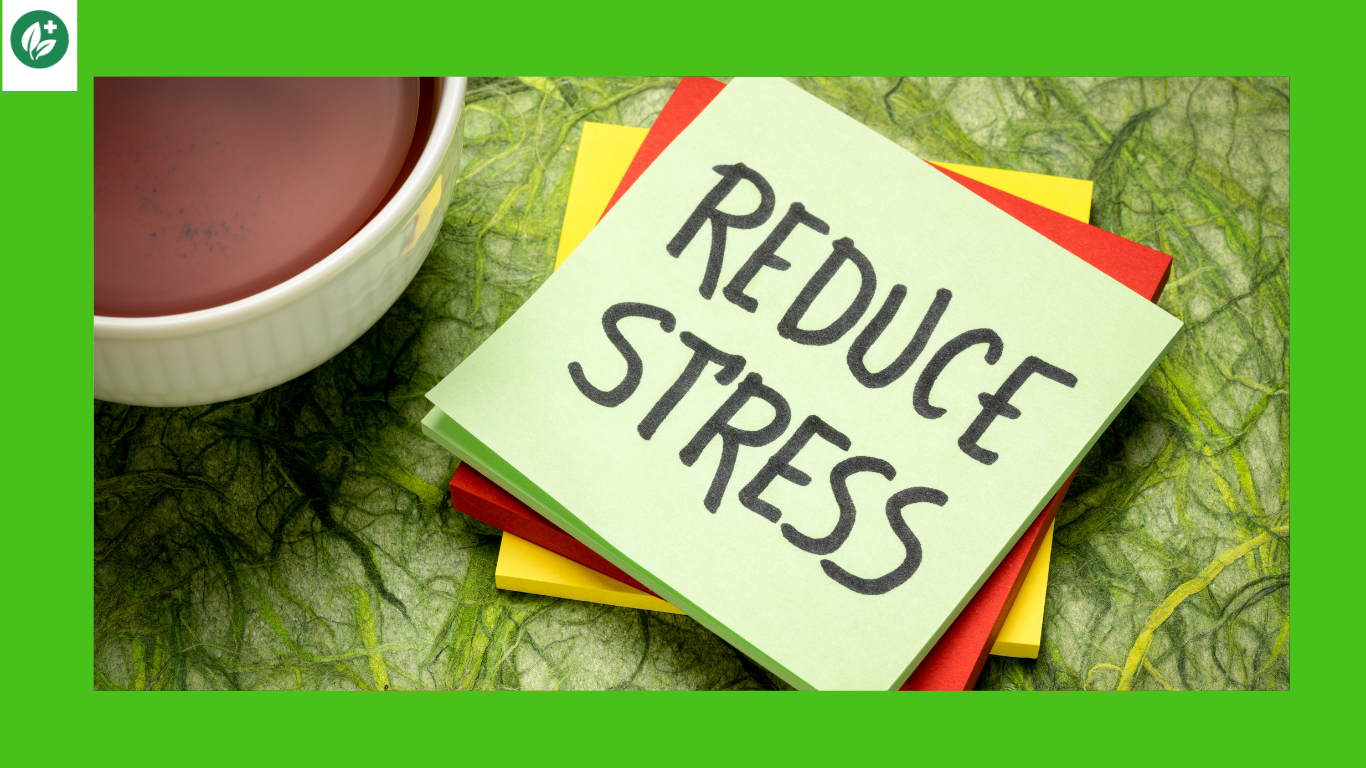 🌿 Is Magnesium Good for Stress? Here’s What Science Says – Yarima