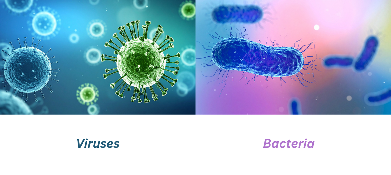 🦠 What’s the Difference Between a Virus and a Bacterium? – Yarima