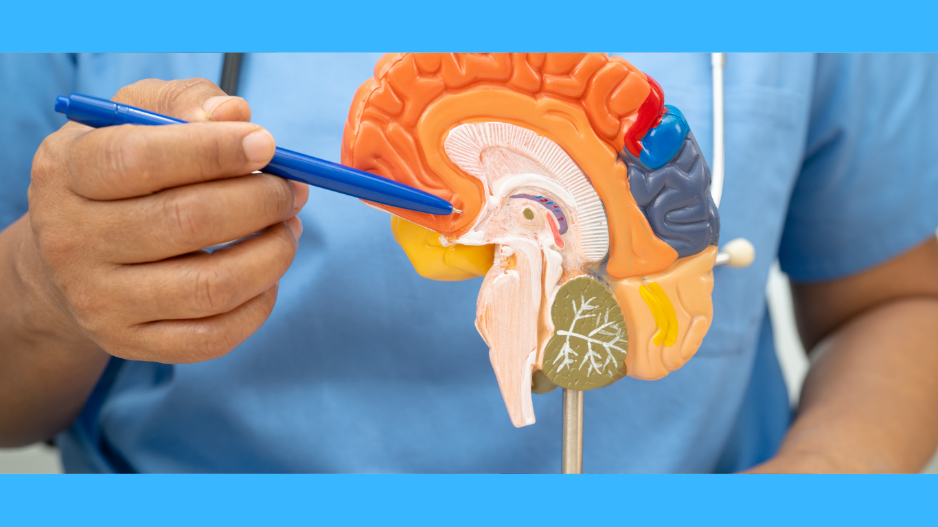 🧠 Understanding Alzheimer’s Disease: When Memory Fades – Yarima